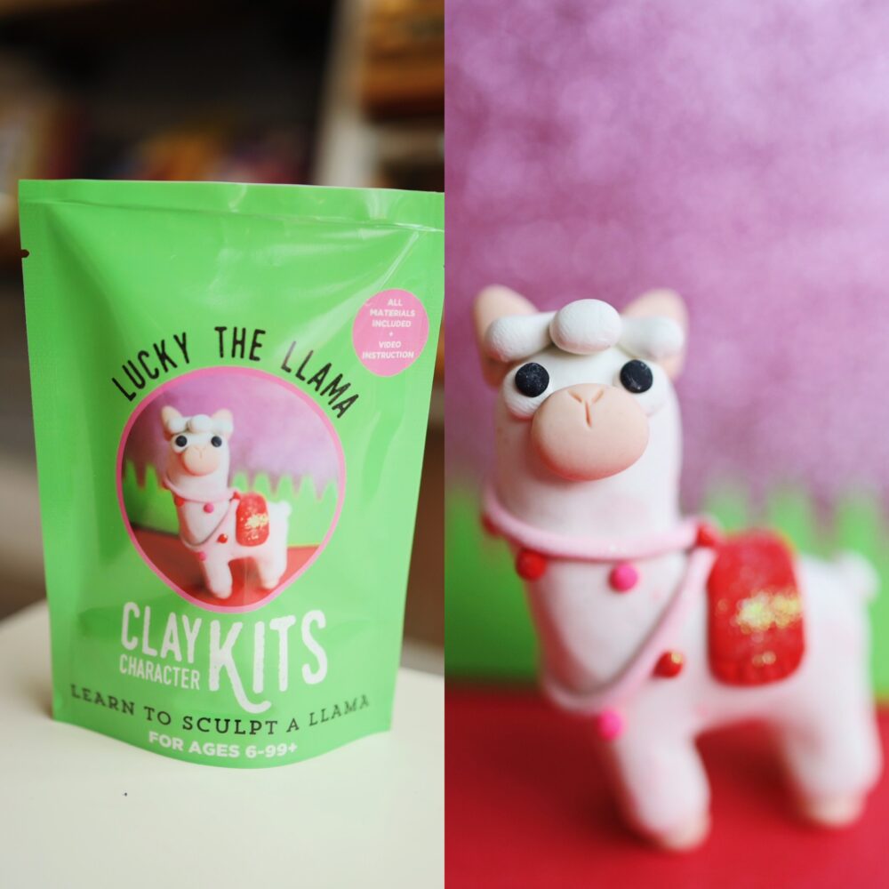 CLAY CHARACTER KITS – The Make Station