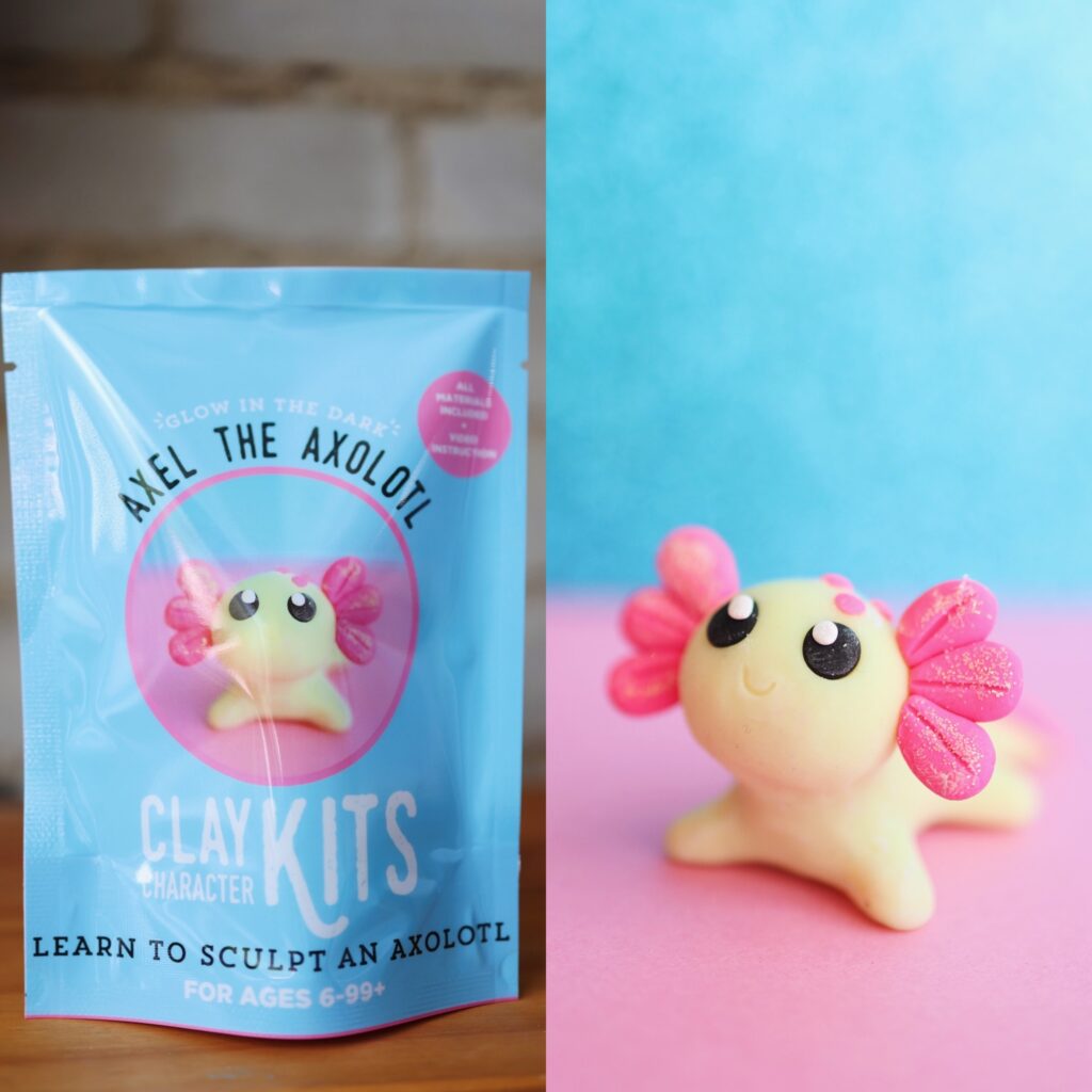 CLAY CHARACTER KITS – The Make Station